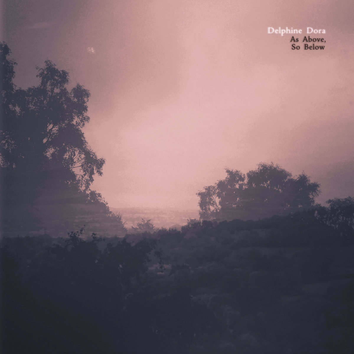 Delphine Dora | As Above So Below - Objects & Sounds